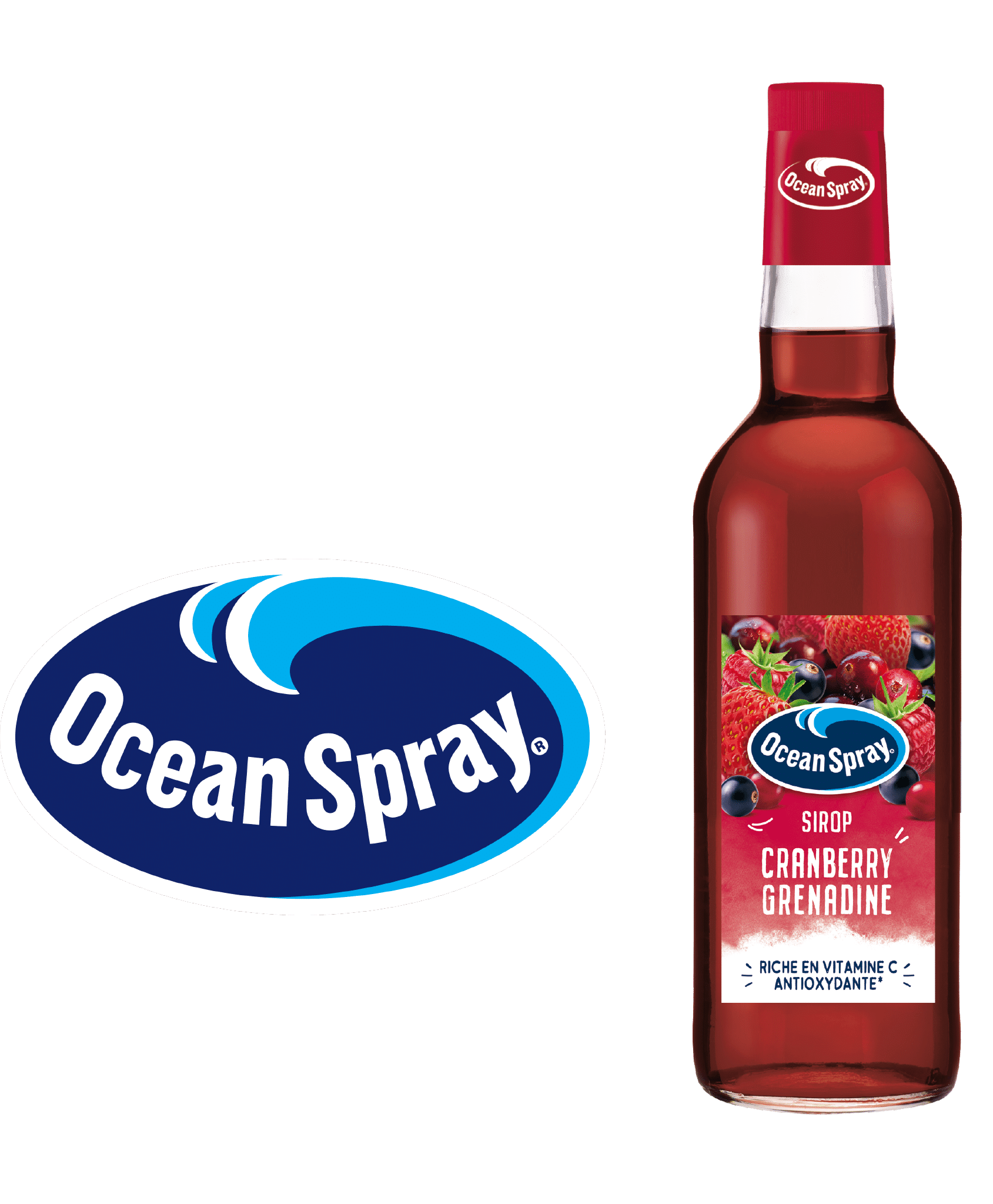 BRANDS - Groupe Routin